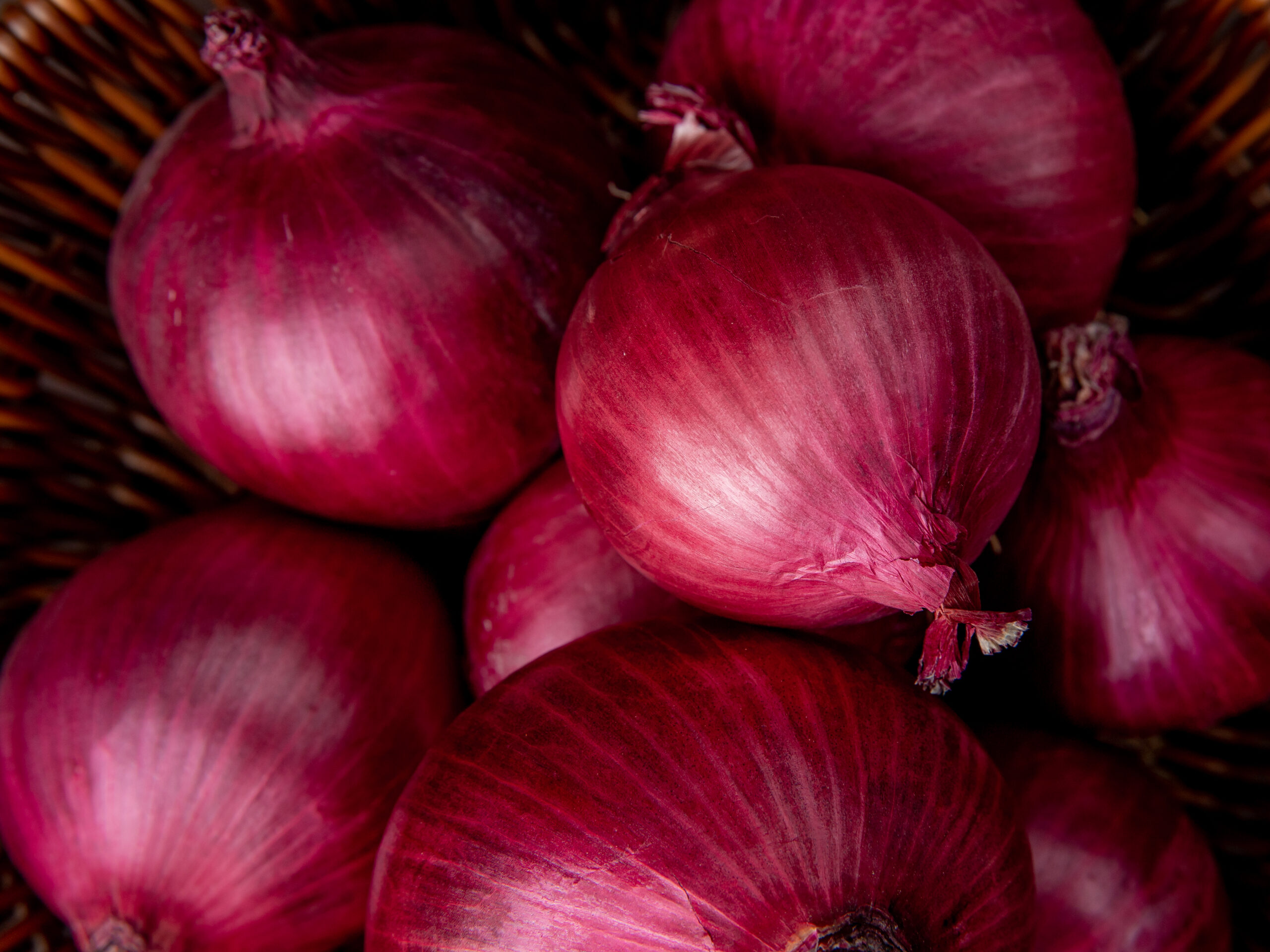 Red Onions Export from India – Ecofield Exports